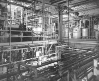 Pfizer's work on penicillin for World War II | EurekAlert!