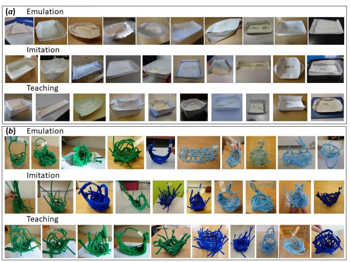 Teaching and complex tools 'evolved together' | EurekAlert!