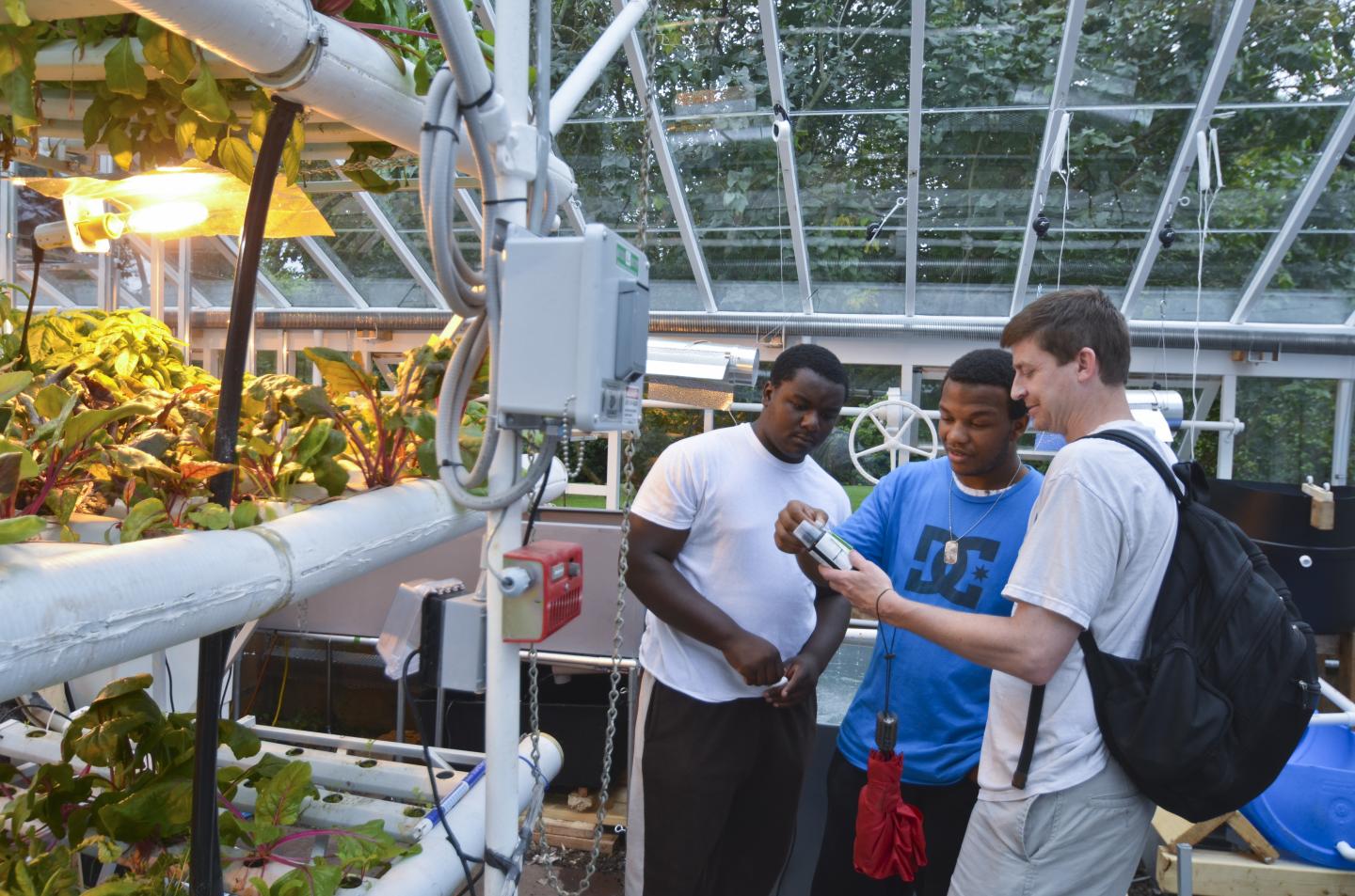 Hydroponic Gardening Lessons [IMAGE] | EurekAlert! Science News Releases