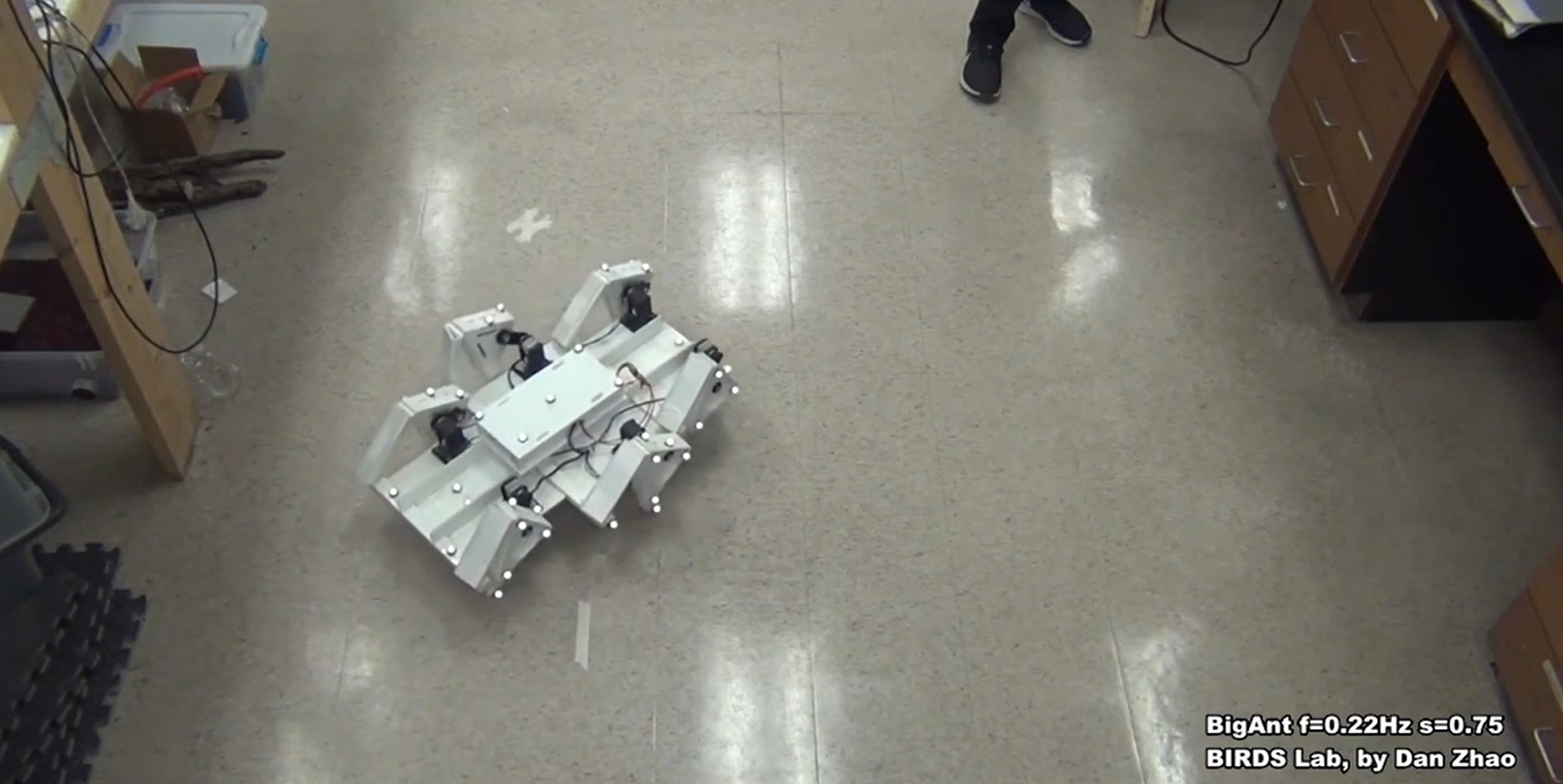 The physics of walking is simpler than we tho | EurekAlert!