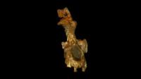 Fossil find puts a face on early primates | EurekAlert!