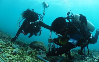 Sampling Benthic Algae in Cora [IMAGE] | EurekAlert! Science News Releases