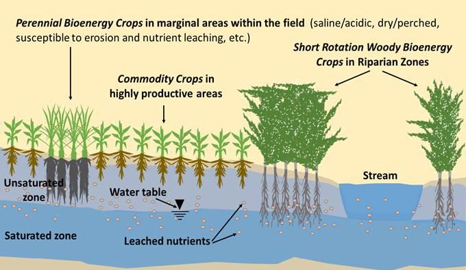 Figure 1 Concepts of Integrate [IMAGE] | EurekAlert! Science News Releases