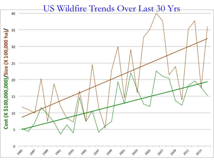 Learning to Live With Forest Fire (3 of 4) | EurekAlert!