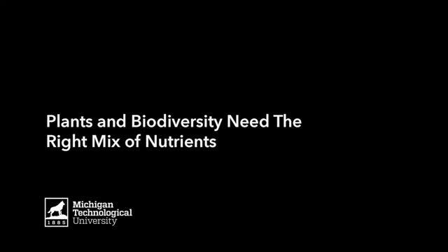 Erika Hersch-Green wins CAREER Award for Biod | EurekAlert!