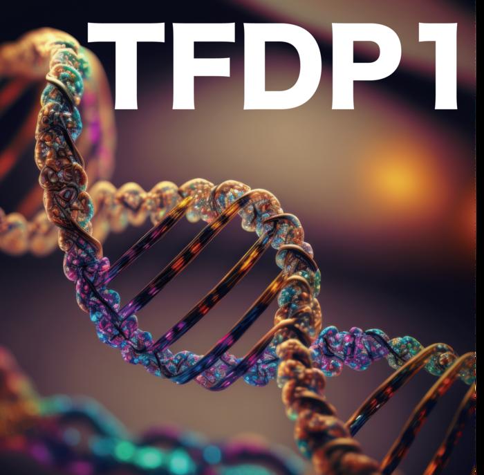 Eye-catching image [IMAGE] | EurekAlert! Science News Releases