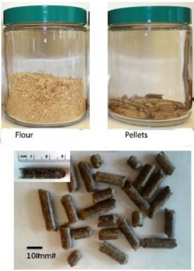 Milled Biofuel Feedstock Blend [IMAGE] | EurekAlert! Science News Releases