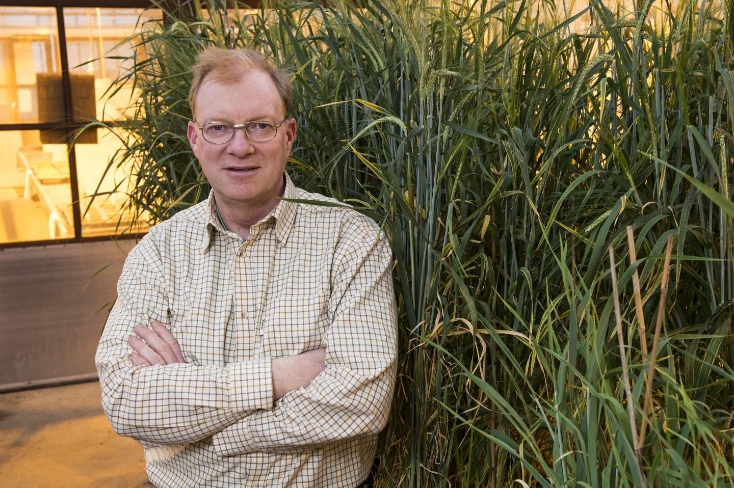 Professor James Brown, John In [IMAGE] | EurekAlert! Science News Releases