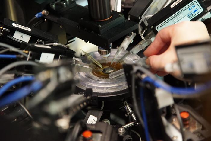 Octo-patch rig [IMAGE] | EurekAlert! Science News Releases