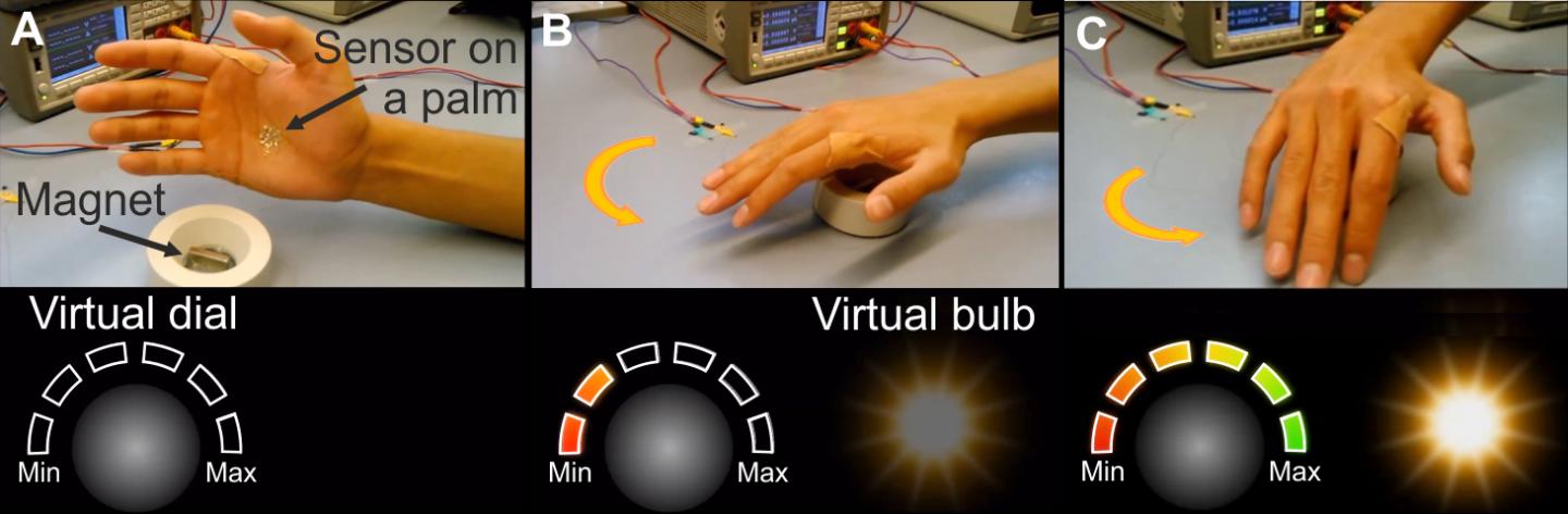 Virtual reality goes magnetic | EurekAlert!