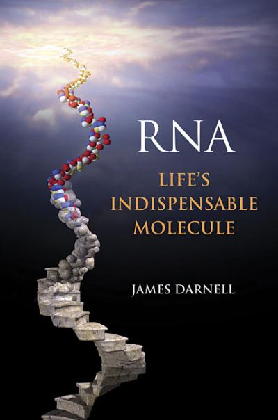 Illuminating life: How RNA, after a century i | EurekAlert!