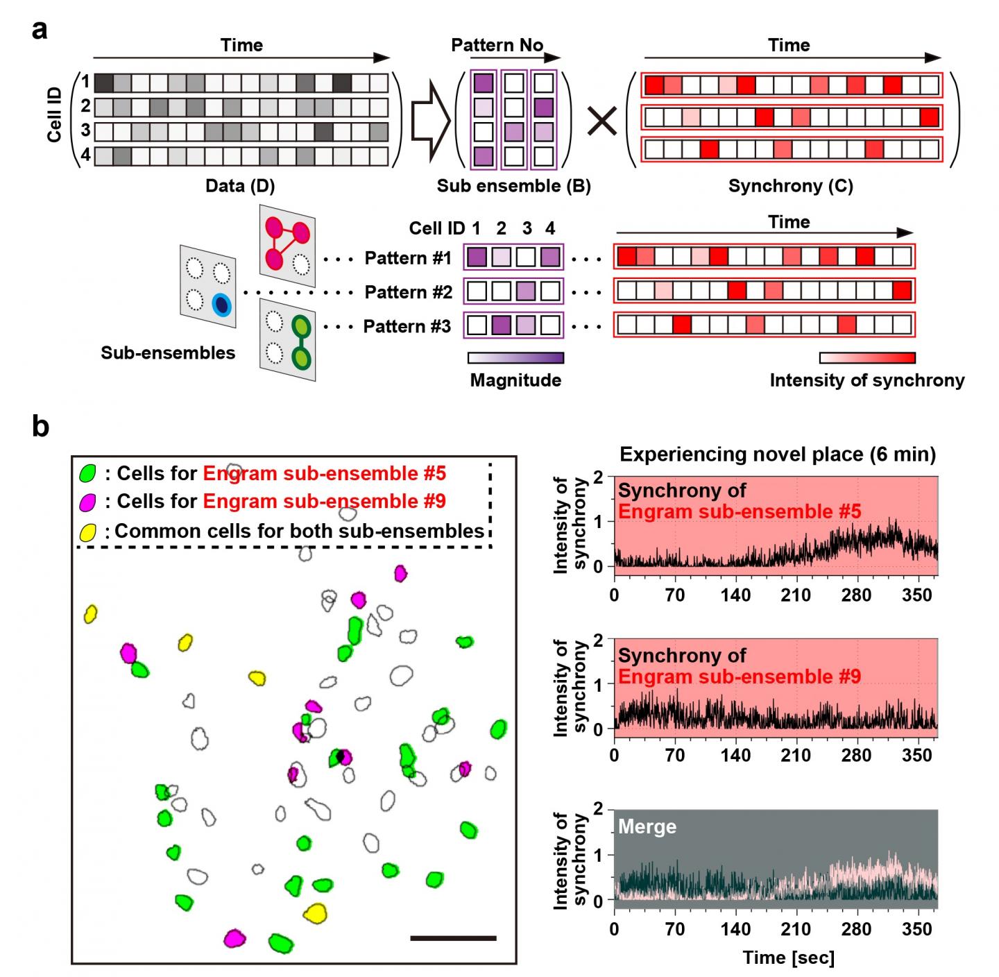 Figure 2 [IMAGE] | EurekAlert! Science News Releases
