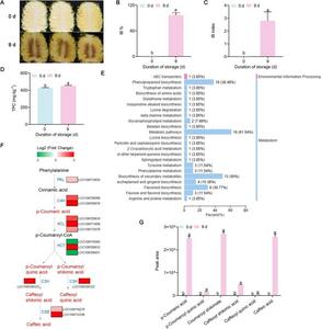 Unlocking the mechanism of pineapple internal | EurekAlert!