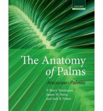 'The Anatomy of Palms' showcases the science | EurekAlert!