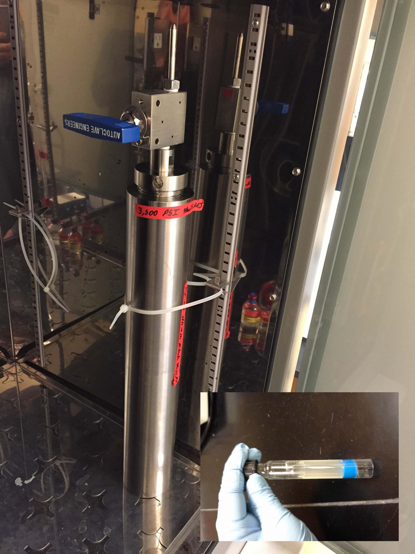 Bacteria Incubator [IMAGE] | EurekAlert! Science News Releases