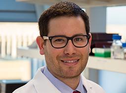 Scott Rothbart, Van Andel Rese [IMAGE] | EurekAlert! Science News Releases