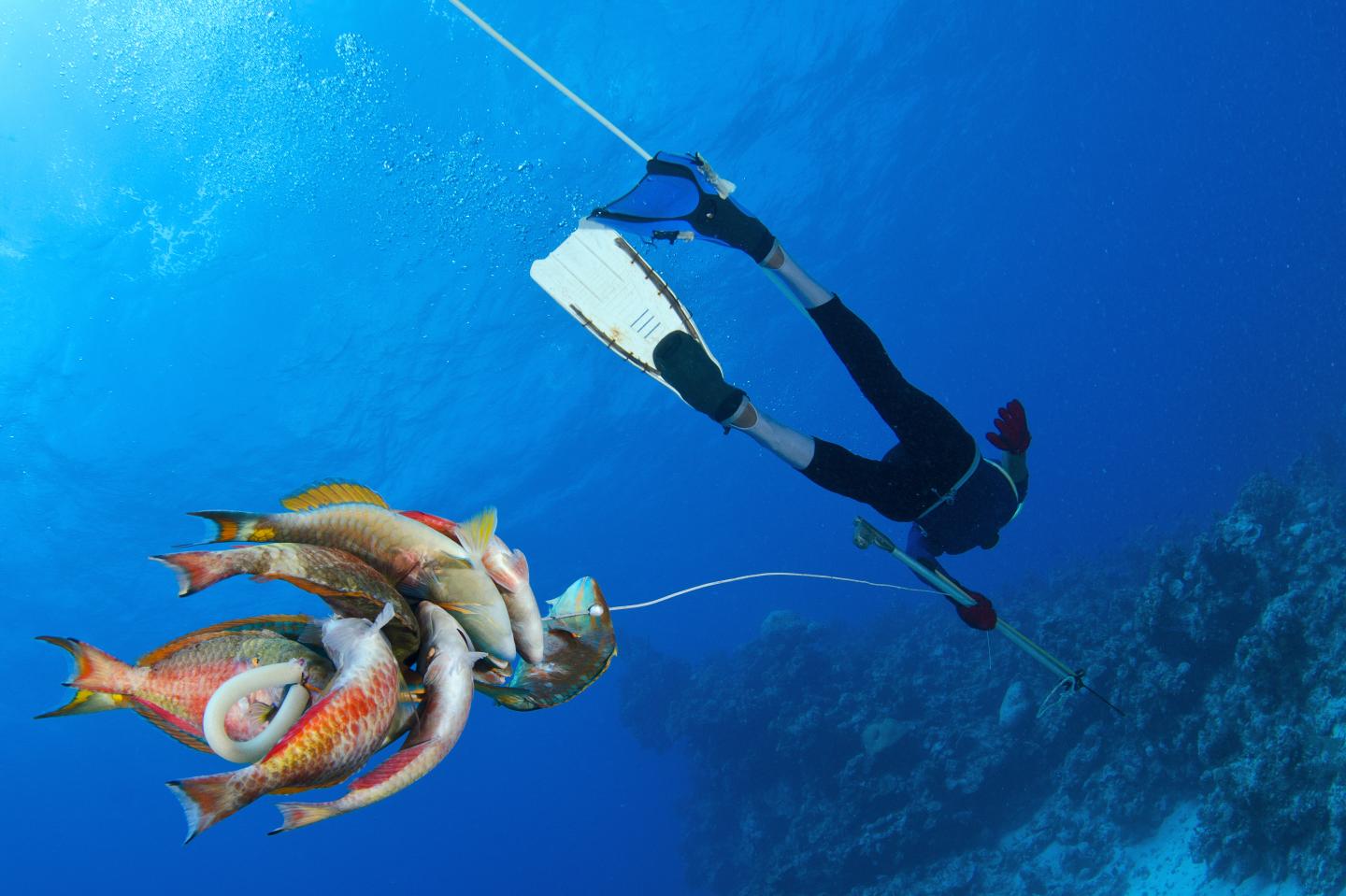 Photo 3 [IMAGE] | EurekAlert! Science News Releases