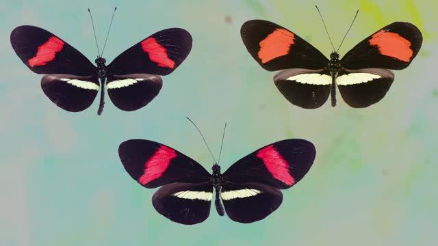 Is evolution predictable? | EurekAlert!