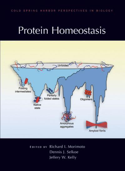 New book on protein homeostasis from Cold Spr | EurekAlert!