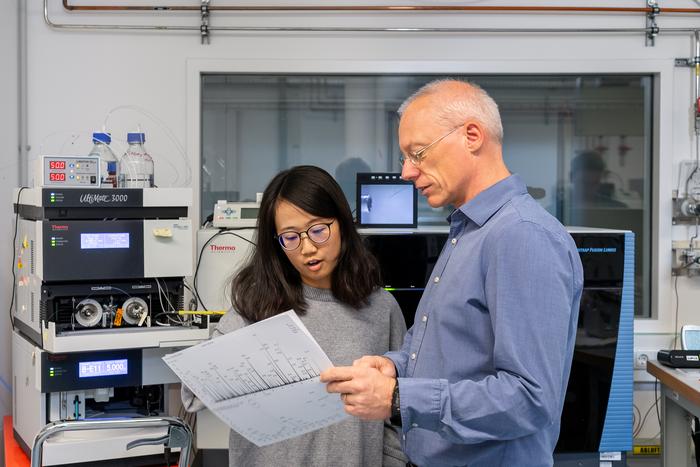 Evaluation of data at the Chai [IMAGE] | EurekAlert! Science News Releases