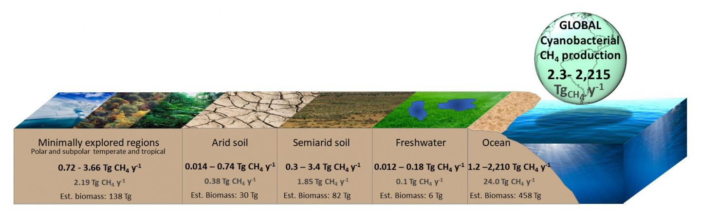Direct Evidence that Widespread Blue-Green Al | EurekAlert!
