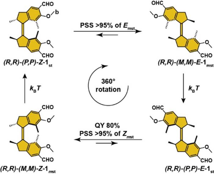 Rotary cycle of the new, more [IMAGE] | EurekAlert! Science News Releases