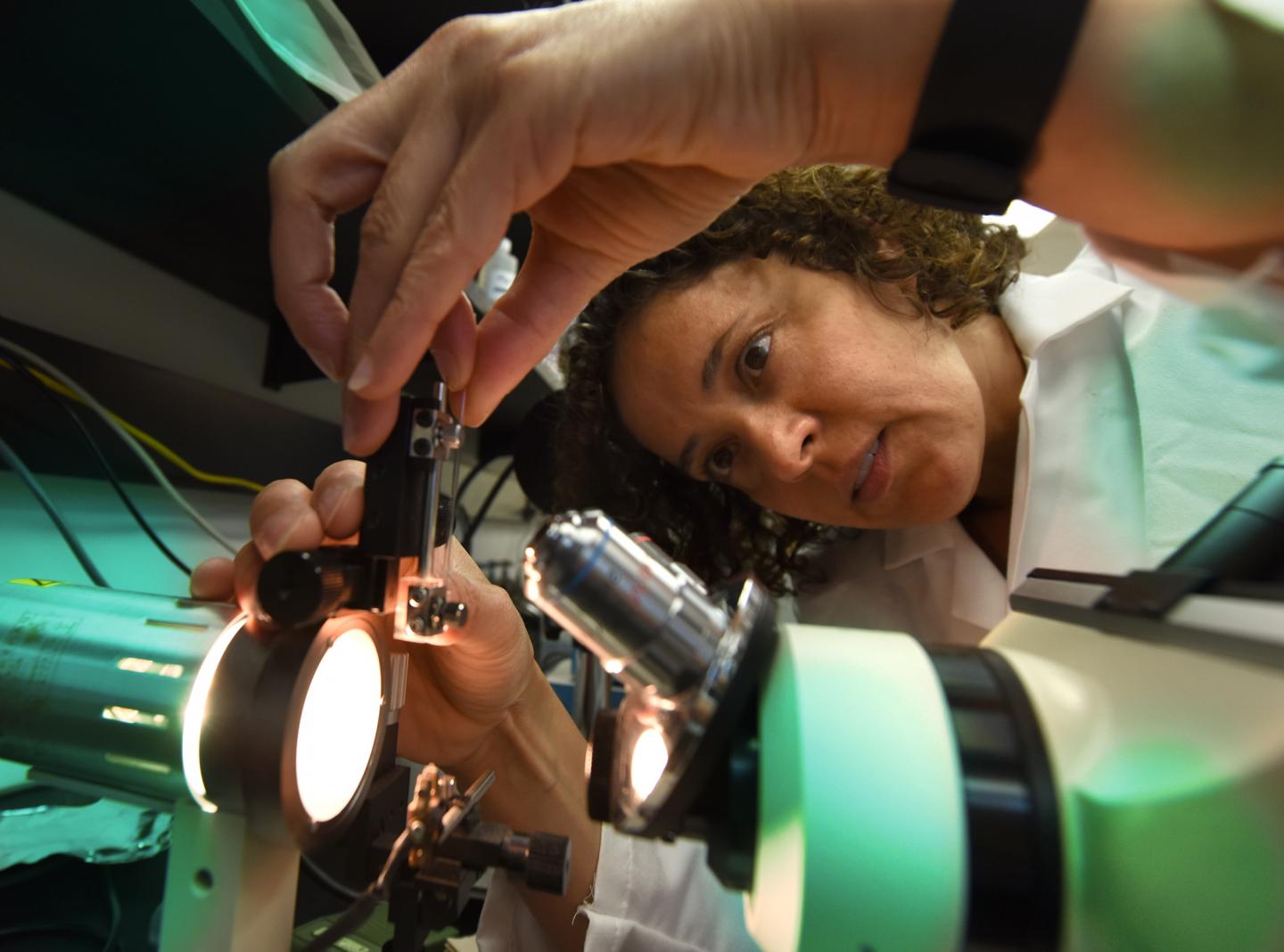 Dr. Jessica Filosa, Medical Co [IMAGE] | EurekAlert! Science News Releases