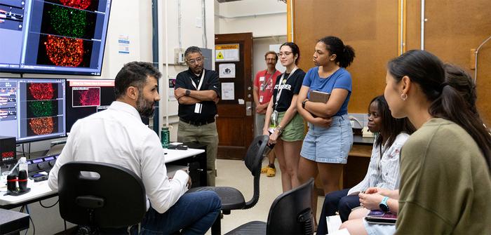 Leica Super-Resolution Confoca [IMAGE] | EurekAlert! Science News Releases