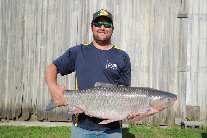 Invasive Grass Carp [IMAGE] | EurekAlert! Science News Releases