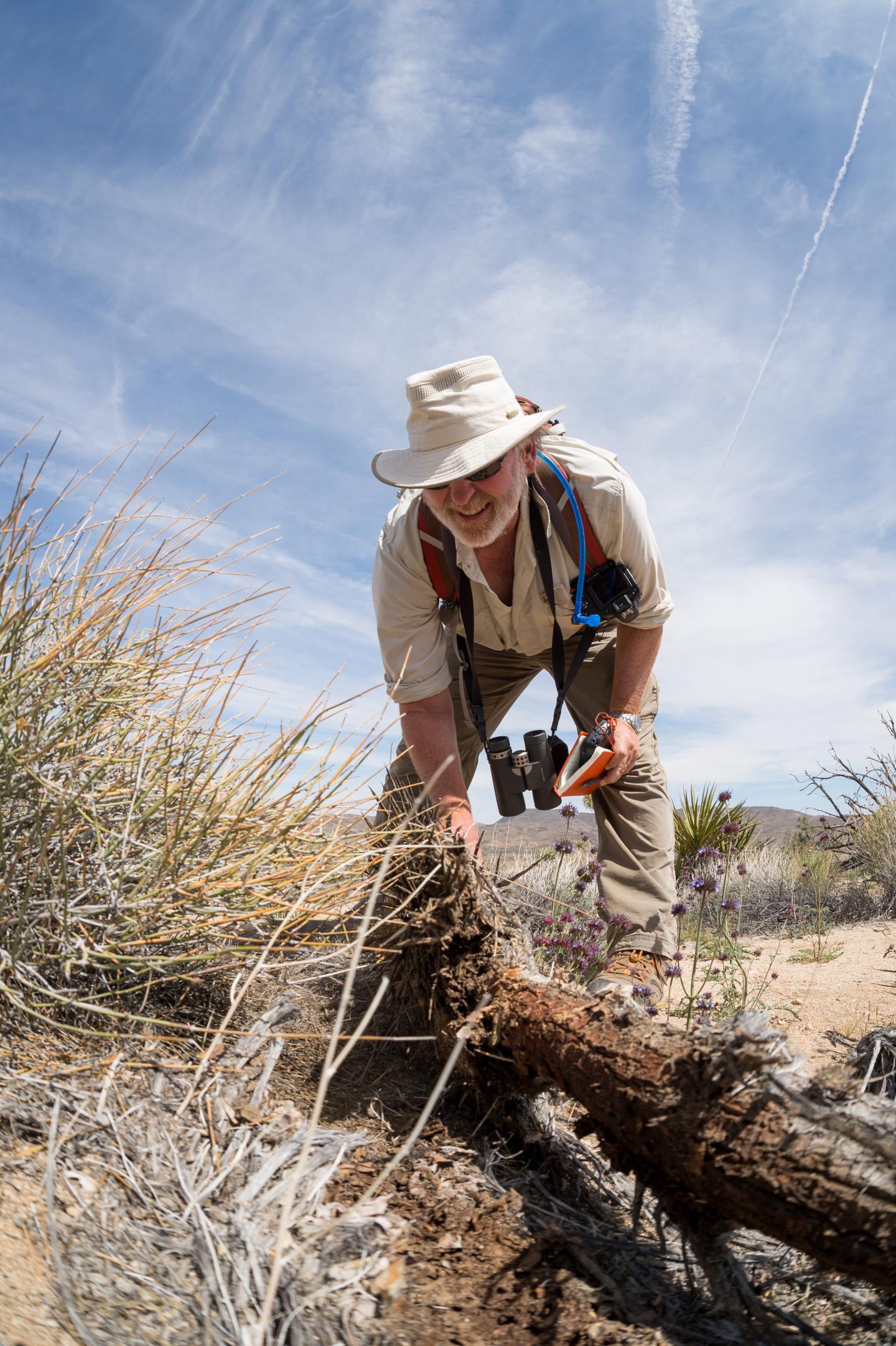 Cameron Barrows, University of [IMAGE] | EurekAlert! Science News Releases
