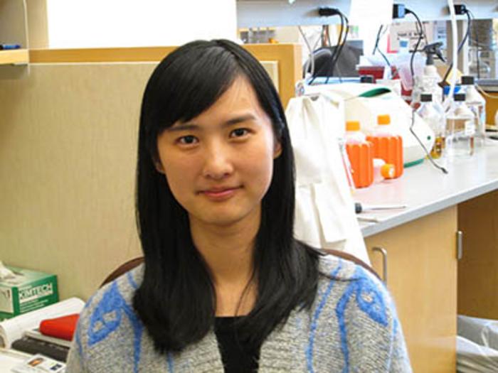 Shengjie Feng, Ph.D. [IMAGE] | EurekAlert! Science News Releases