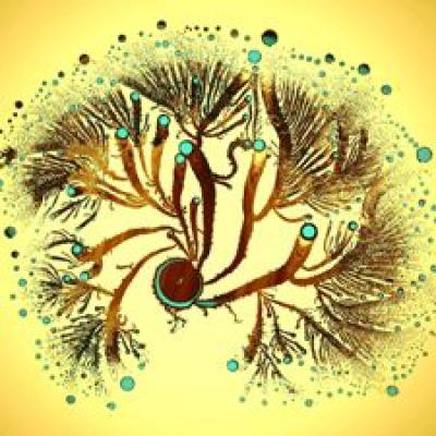 The genius of bacteria | EurekAlert!