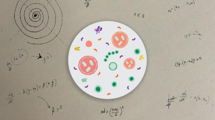 Math and Biology (Illustration [IMAGE] | EurekAlert! Science News Releases