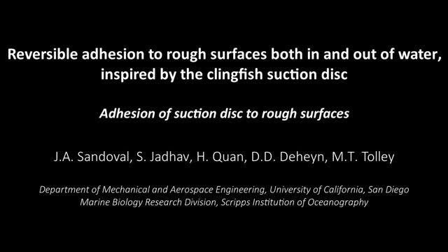 Clingfish biology inspires better suction cup | EurekAlert!
