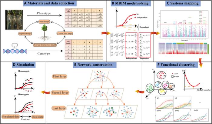 Fig. 1 [IMAGE] | EurekAlert! Science News Releases