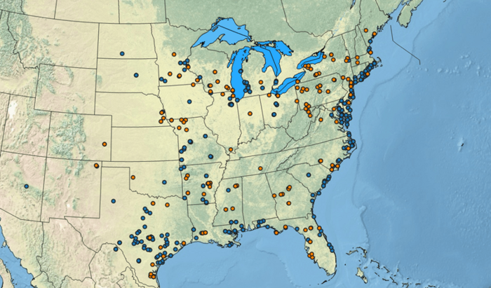 More genome copies in switchgrass linked to m | EurekAlert!
