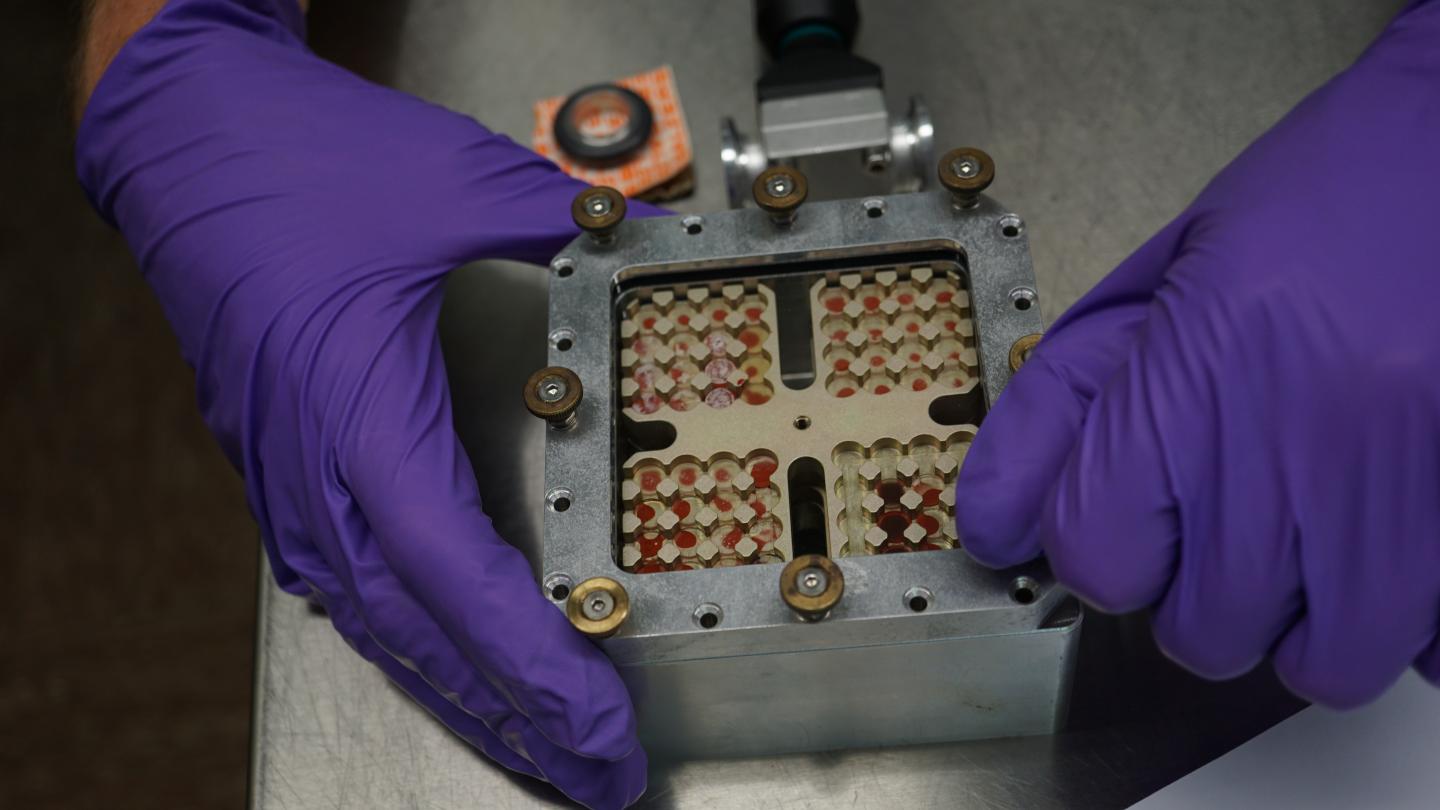 TREX-BOX [IMAGE] | EurekAlert! Science News Releases