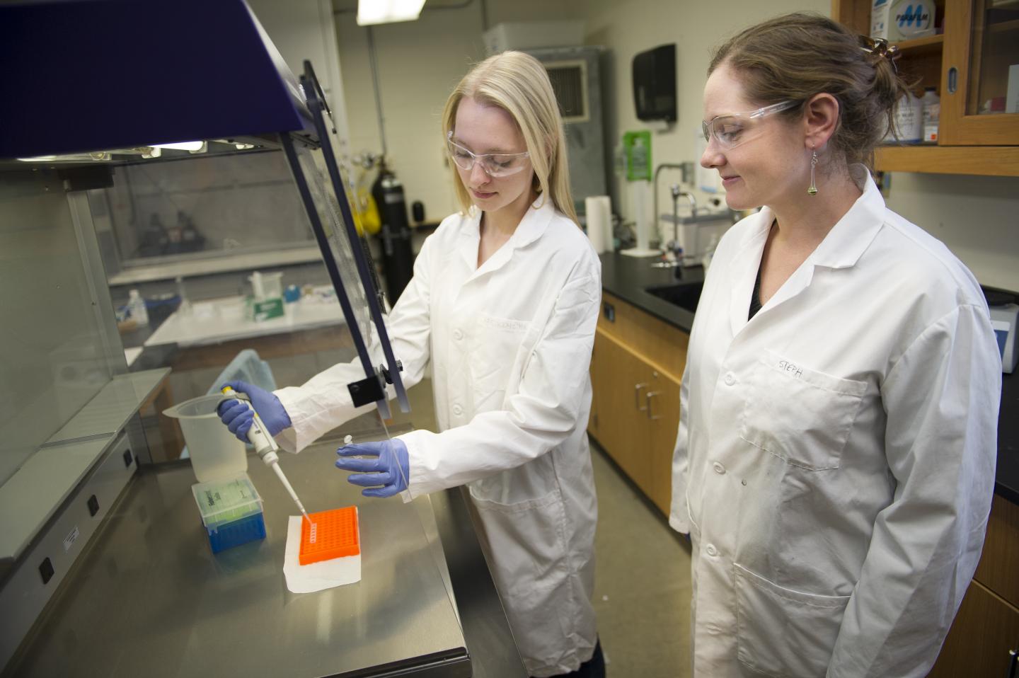 Montana State University Assis [IMAGE] | EurekAlert! Science News Releases