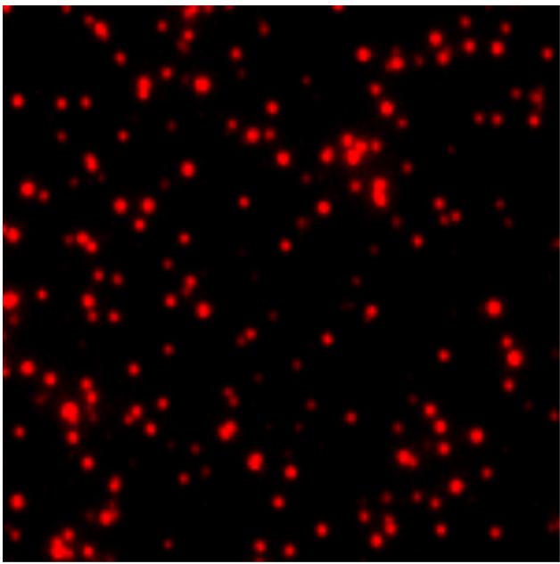 SMAC [IMAGE] | EurekAlert! Science News Releases
