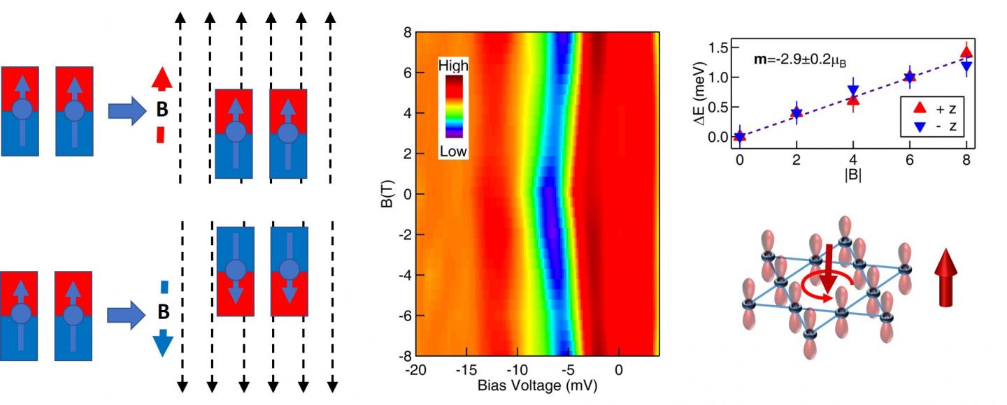 Negative Magnetism [IMAGE] | EurekAlert! Science News Releases