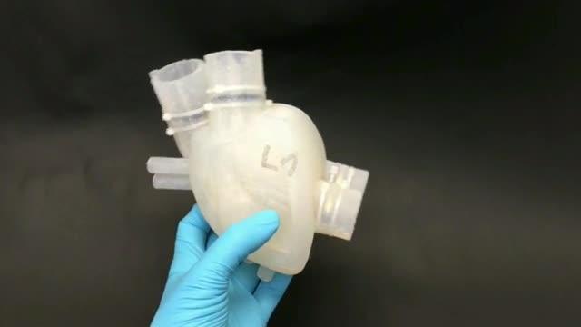 Testing a soft artificial heart | EurekAlert!