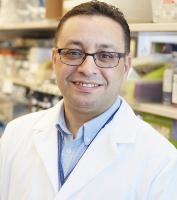 Taha Merghoub [IMAGE] | EurekAlert! Science News Releases