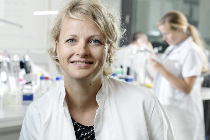 New therapy strengthens the immune system's c | EurekAlert!