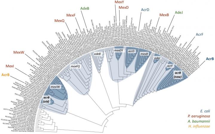 Fig 1 [IMAGE] | EurekAlert! Science News Releases