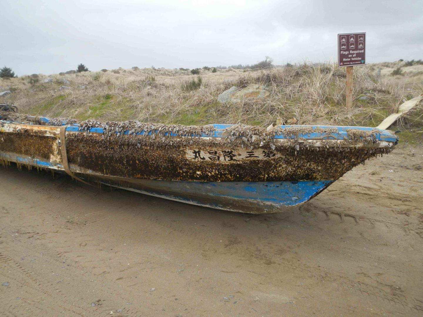 Japanese Tsunami Boat [IMAGE] | EurekAlert! Science News Releases