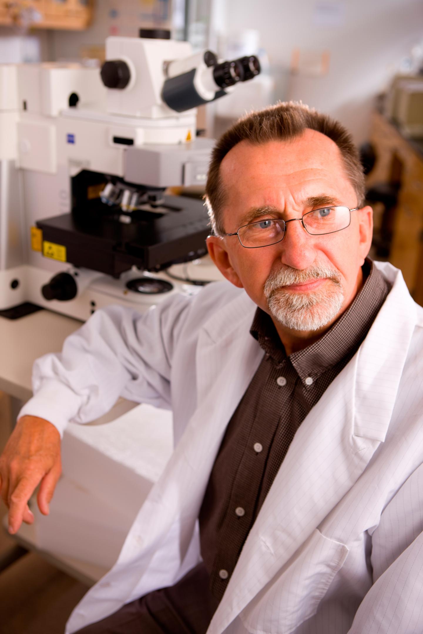 Michael Stachowiak, University [IMAGE] | EurekAlert! Science News Releases