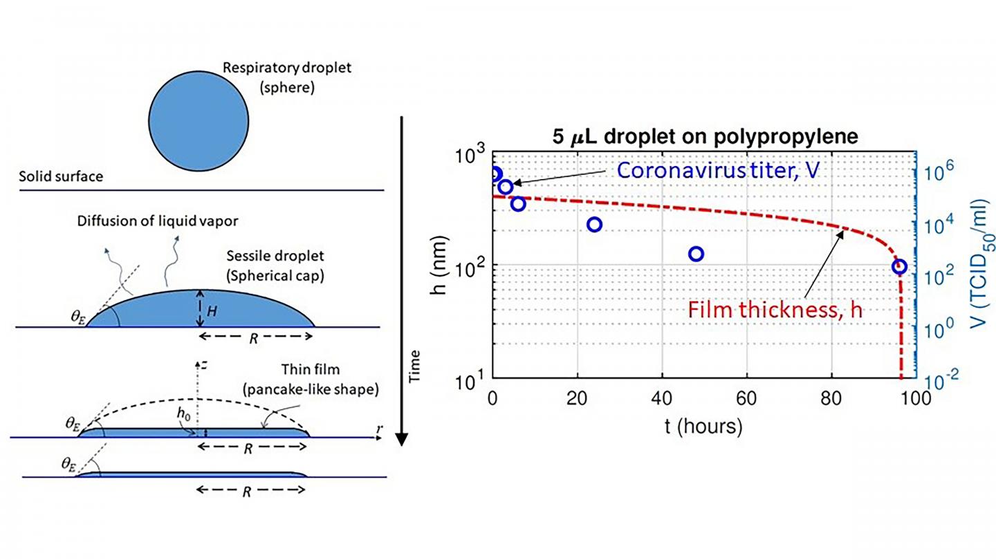 Schematic of a thin liquid fil [IMAGE] | EurekAlert! Science News Releases