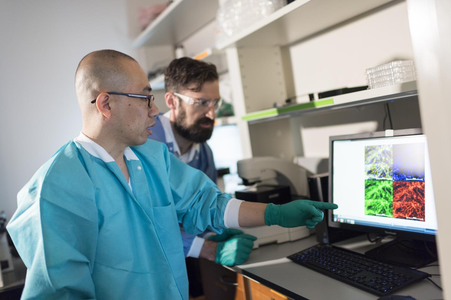 Jue Zhang and Matt Brown, Morg [IMAGE] | EurekAlert! Science News Releases