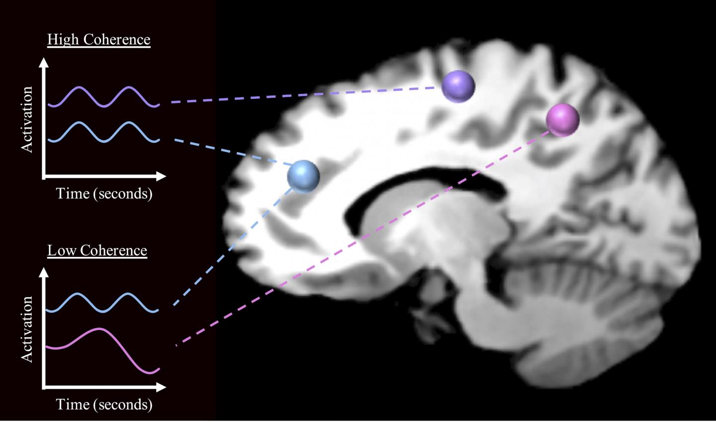 Coherence [IMAGE] | EurekAlert! Science News Releases