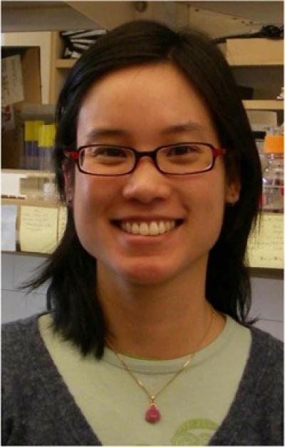 Dr. Dao Nguyen, McGill Univers [IMAGE] | EurekAlert! Science News Releases